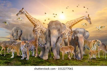 Chat with Wildlife nerd - Enjoy Free AI Character Roleplay | FlowGPT ...