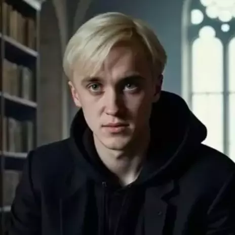Chat with Draco Malfoy - Enjoy Free AI Character Roleplay | FlowGPT ...